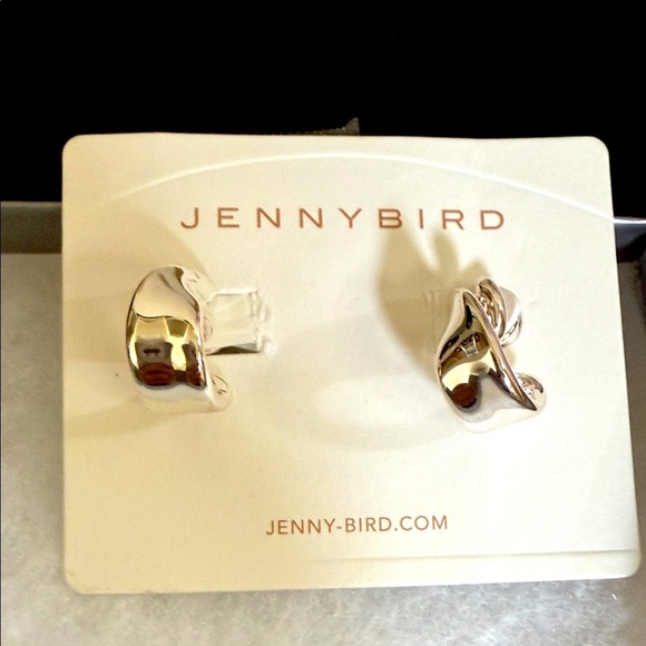 Jenny Bird | Jewelry | Jenny Bird Sculptural Silver Earrings | Poshmark